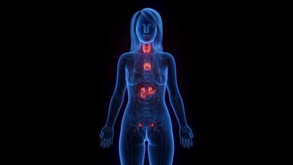 The Endocrine System and Breast Cancer Overview - Agendia